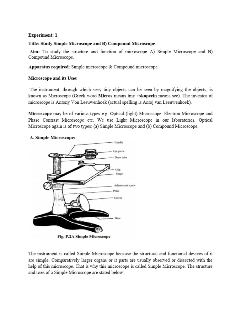 Experiment 1 | PDF | Microscope | Optics