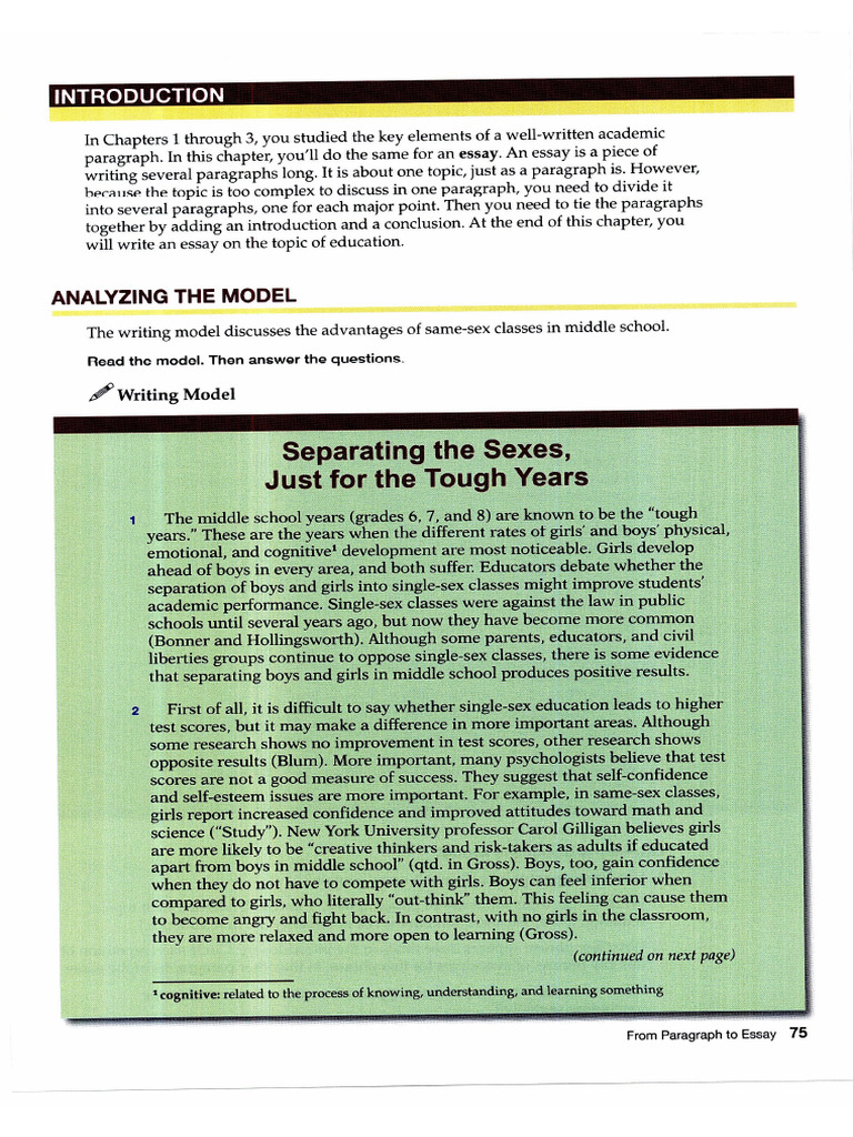 LDI Sample Essay | PDF