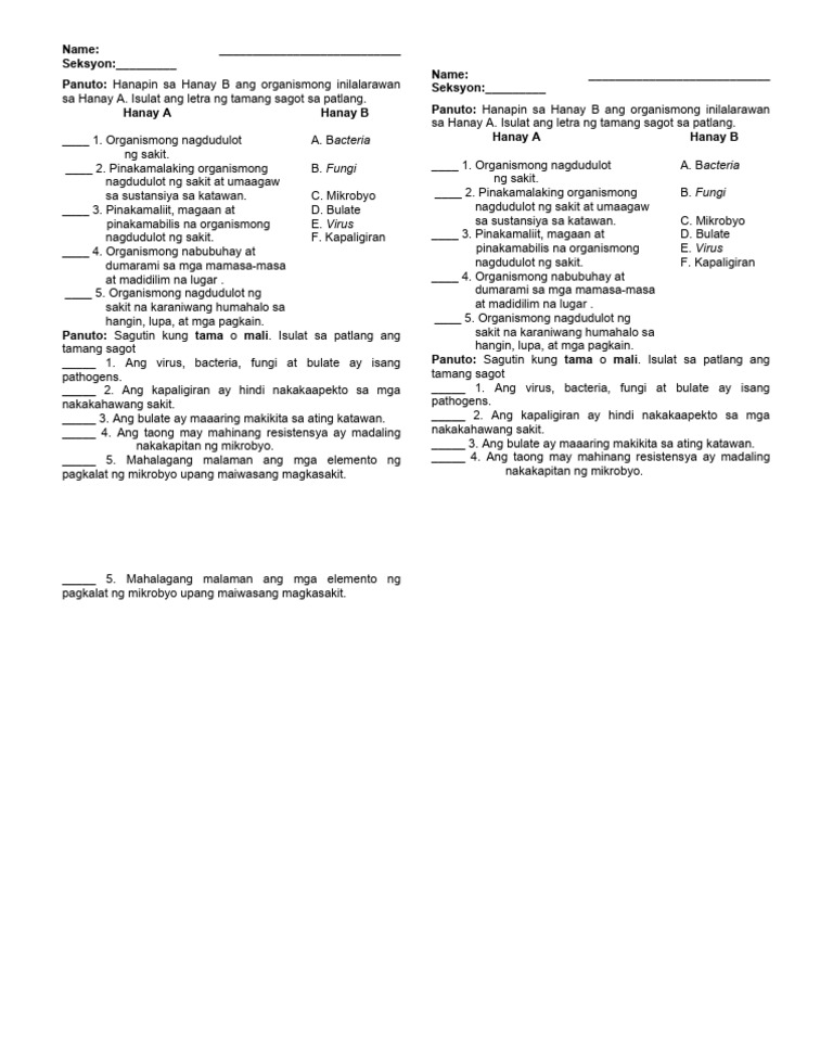 Activity Sheet Pathogens 2sides Pdf