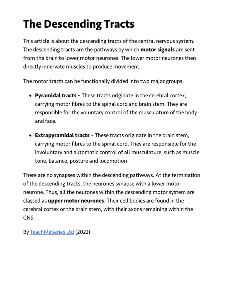 The Descending Tracts - Pyramidal - TeachMeAnatomy | PDF | Motor Neuron ...