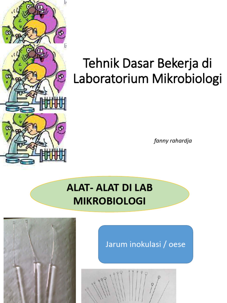 Tehnik Dasar-Identifikasi E Coli-Cara Buat Laporan Mikro | PDF