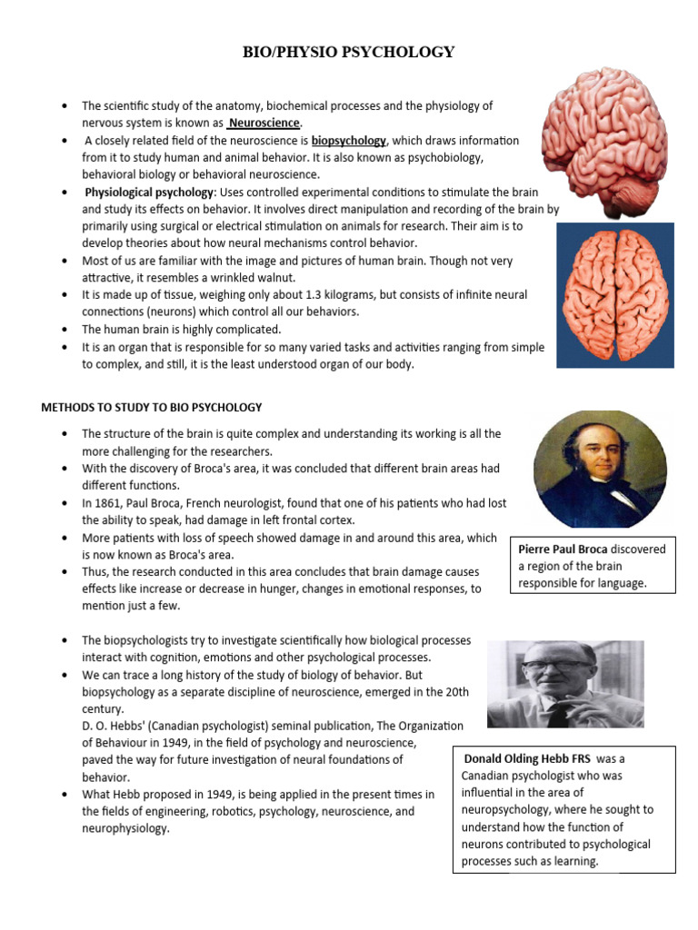 BIOREVIEWER | PDF | Neuropsychological Assessment | Wechsler Adult ...