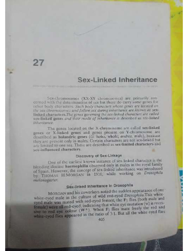 Sex Linked Inheritance | PDF