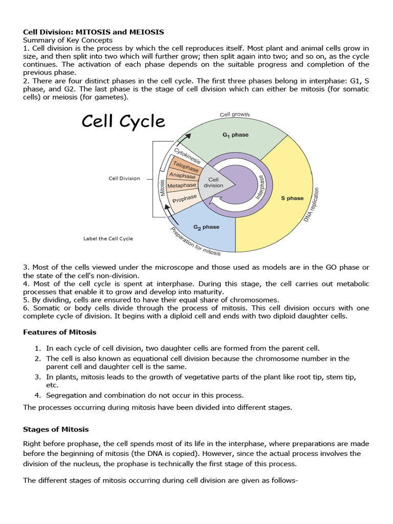 General Biology 1-Notes (Reviewer For 2nd Quarter Exam) | PDF | Meiosis ...