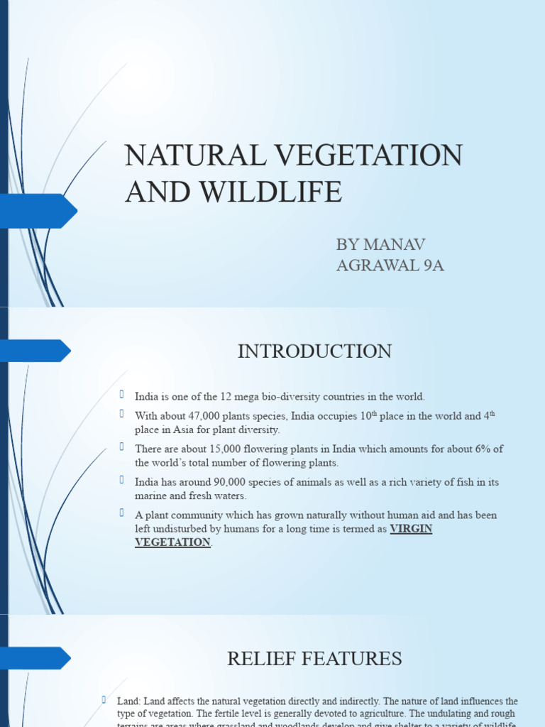 Natural Vegetation and Wildlife | PDF | Forests | Trees