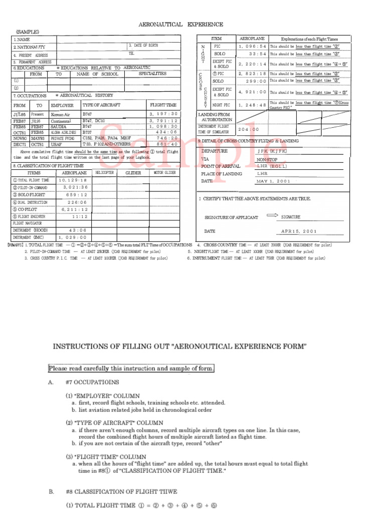 Guidance+for+AE+form | PDF | Airport | Flight