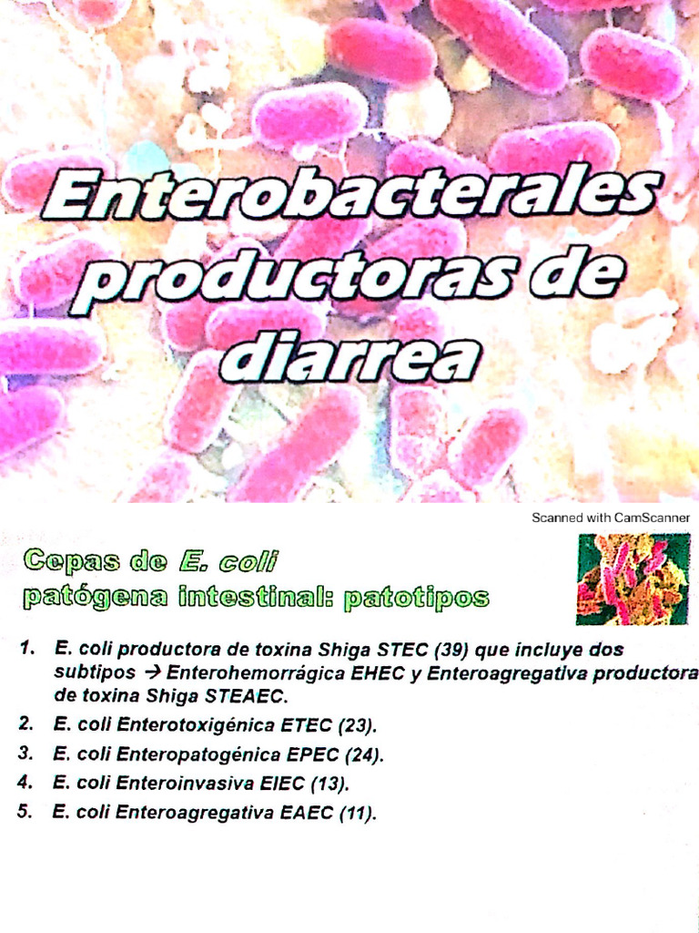 Enterobacterias Parte II | PDF