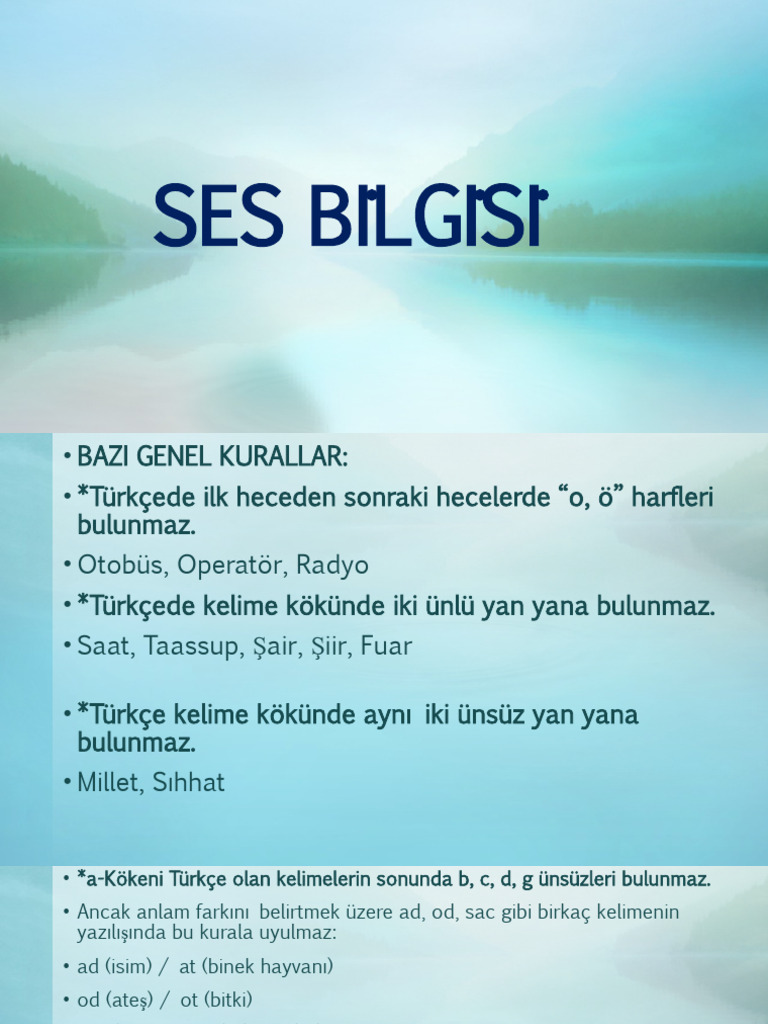 Ses Bi̇lgi̇si̇ | PDF