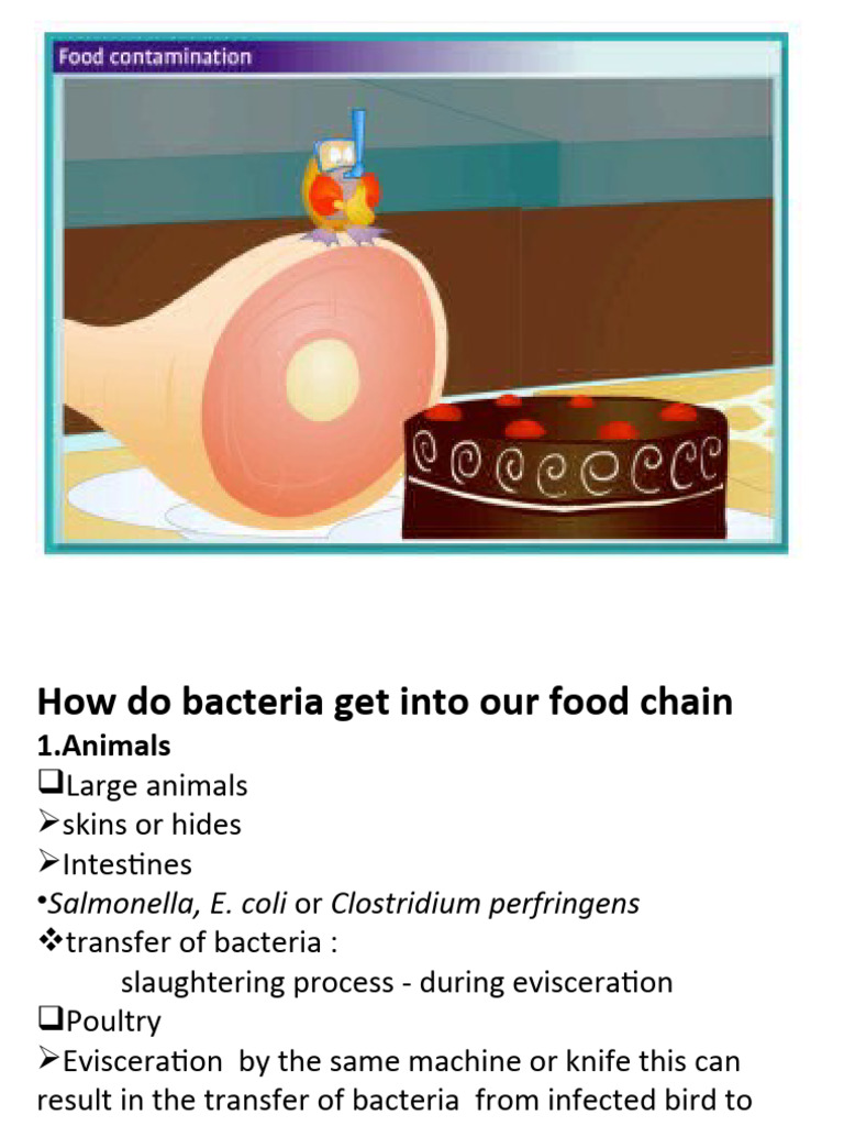 Chapter 7 Part 1 Food Contamination | PDF | Food Safety | Foodborne Illness