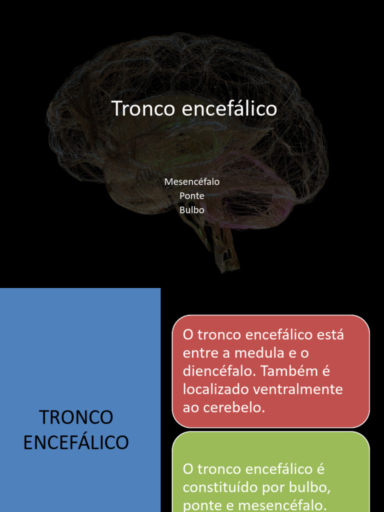 Aula 7 Tronco Encefálico Alunos 2022 | PDF | Cérebro | Nervo