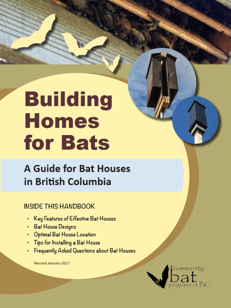Building Homes For Bats | PDF | Bat | Plywood