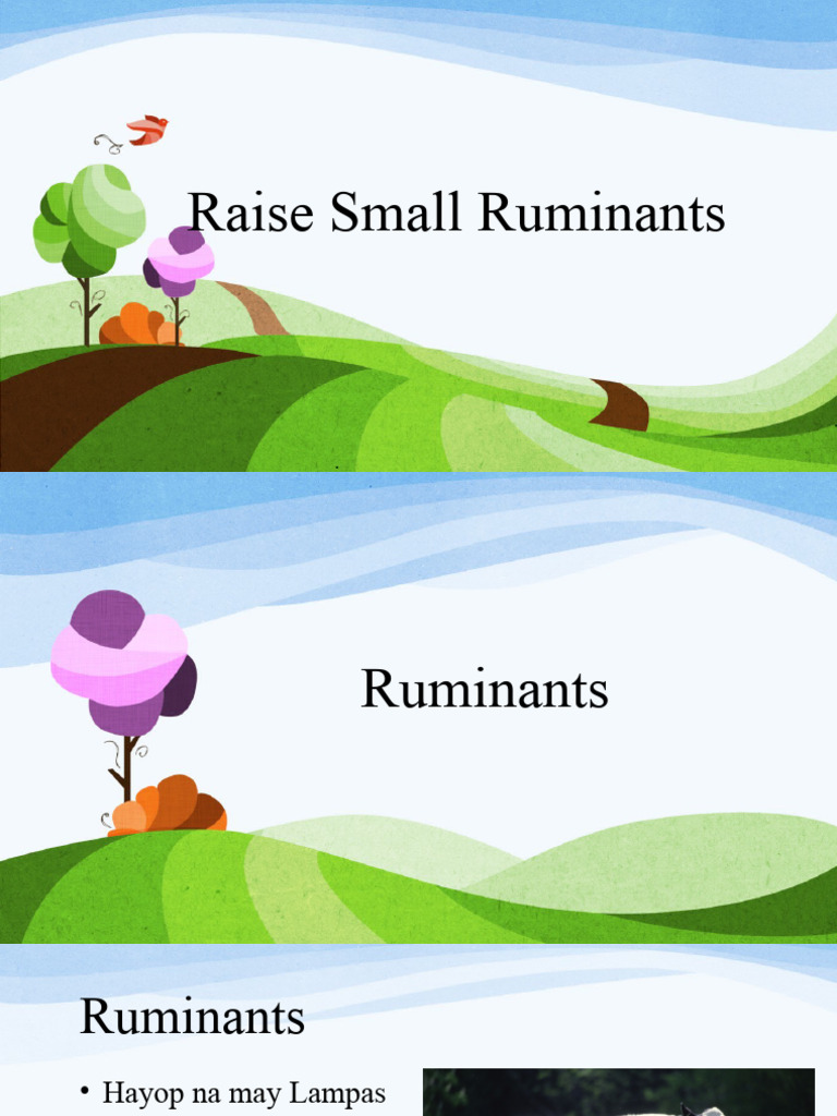 Raise Small Ruminants | PDF