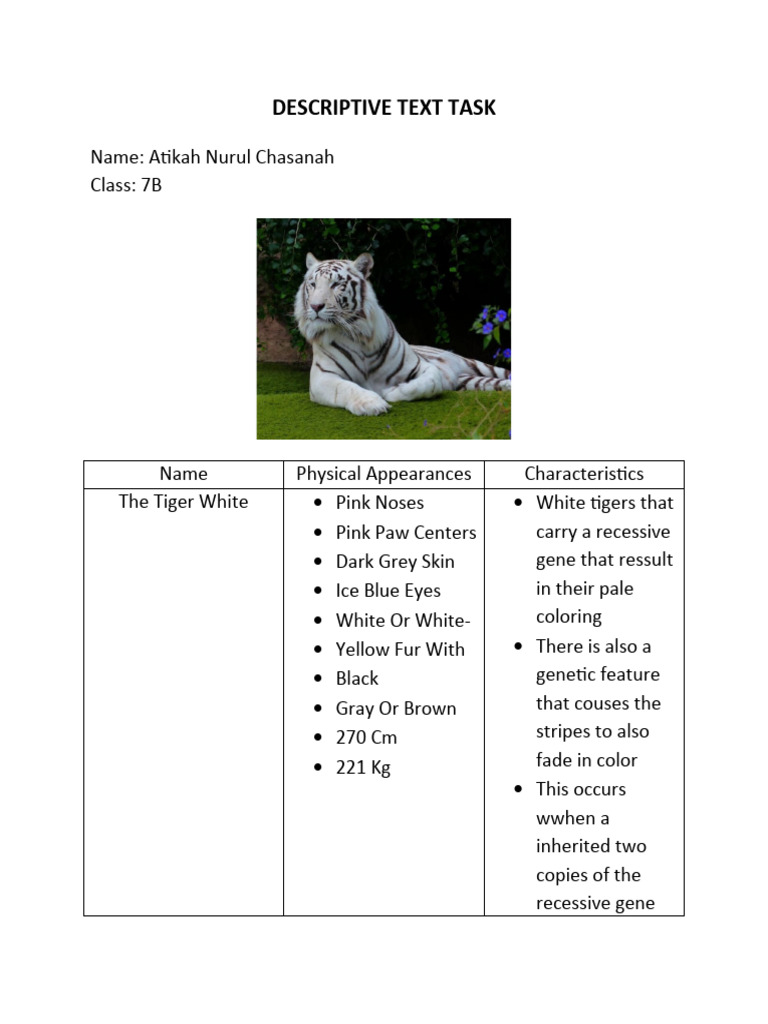 Descriptive Text Task | PDF