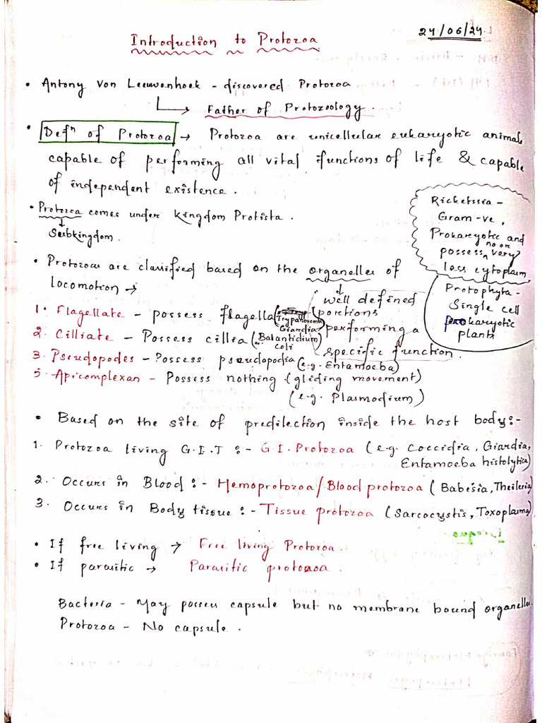 Protozoa Notes | PDF