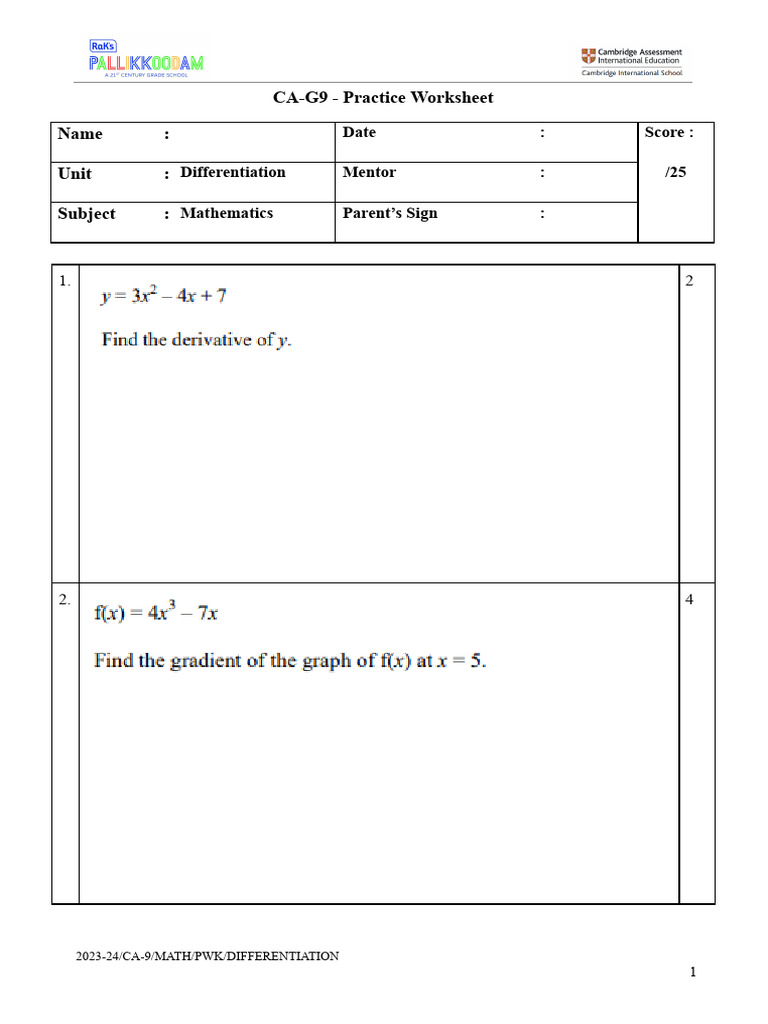 Differentiation Practice Worksheet' | PDF