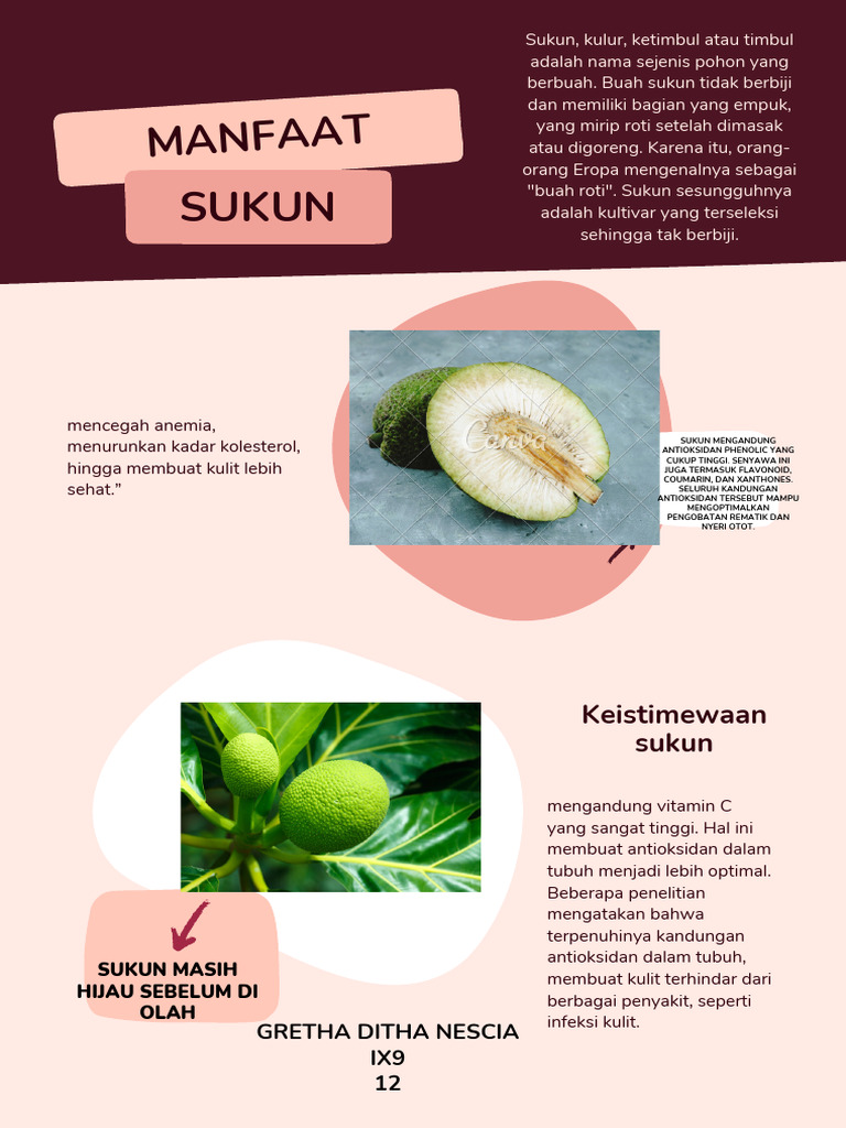 Poster Sains Fungsi Sistem Reproduksi Manusia Gaya Grafis Polos Merah ...