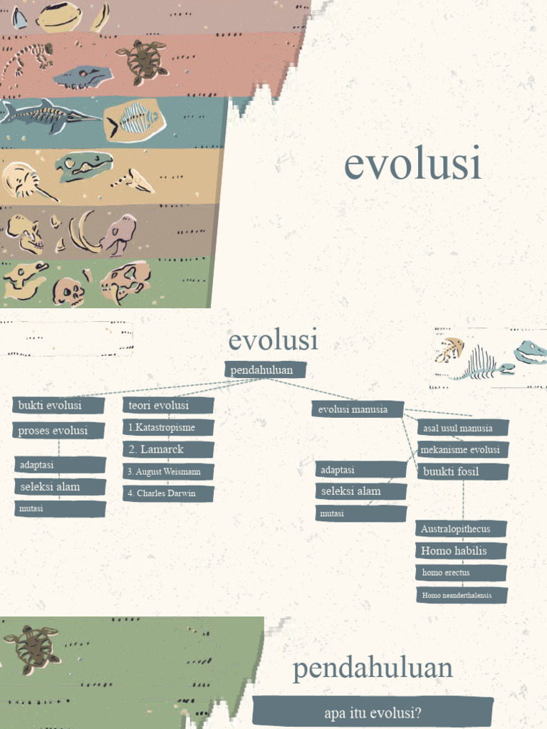 Evolusi | PDF