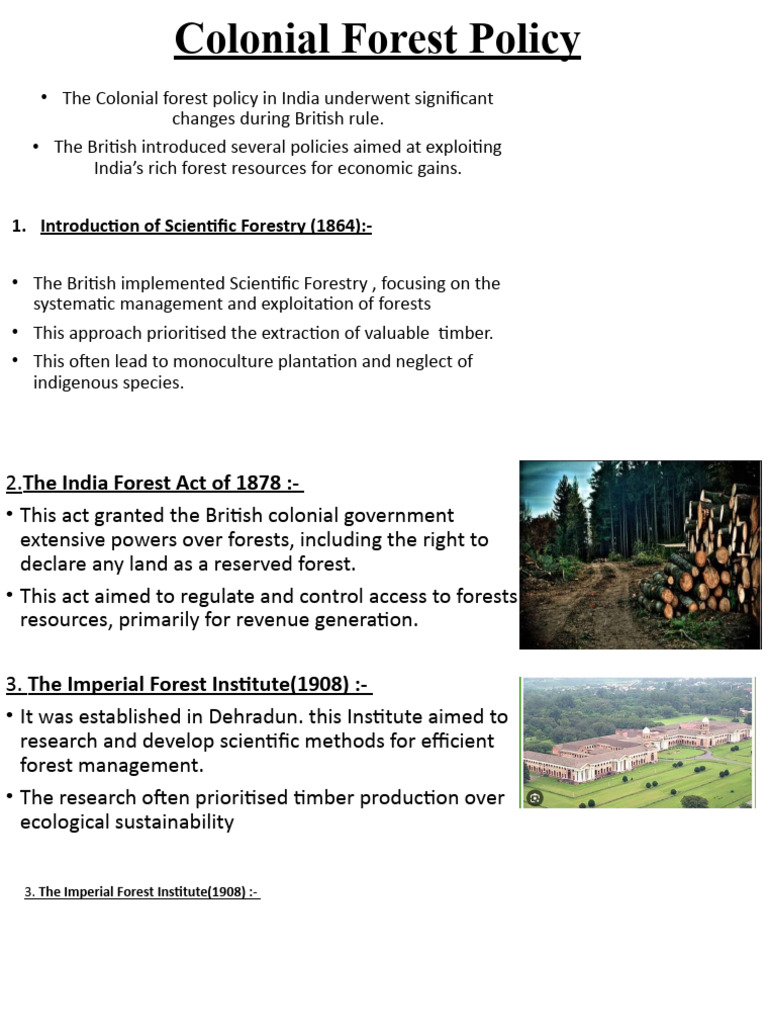 Impact of British Forest Policies in India | PDF