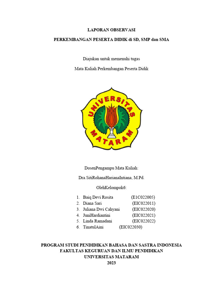 Laporan Observasi PPD KLP 6 Fixx | PDF