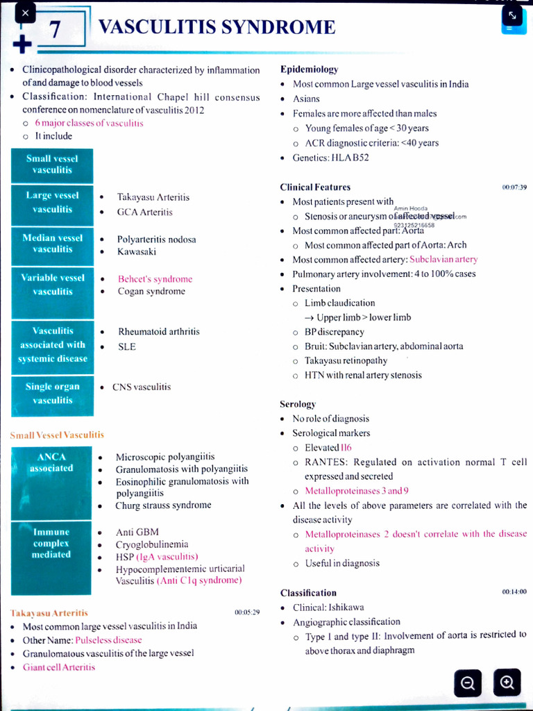 Vasculitis Syndrome | PDF | Diseases And Disorders | Immunology