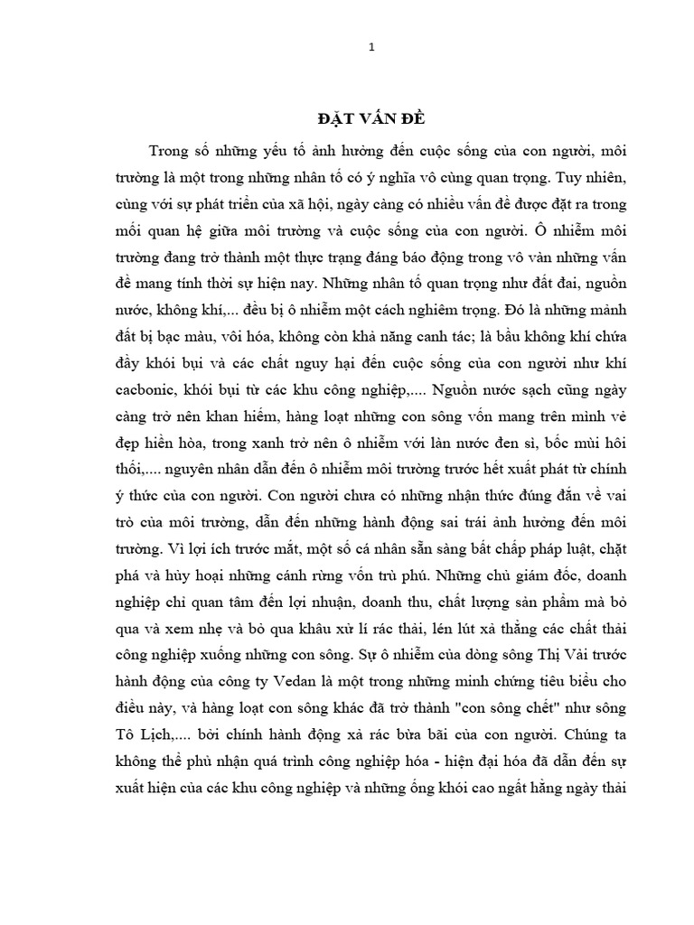 Tiểu Luận Pdf