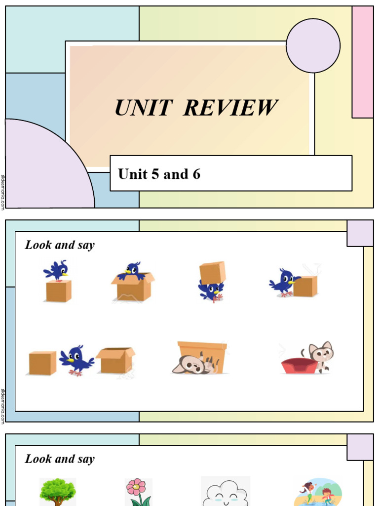 Unit 5 and 6 Review Activities | PDF
