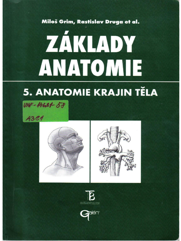 Anatomie Krajin Tela | PDF