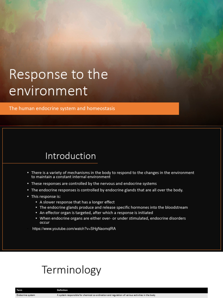 Endocrine System Pdf Endocrine System Hormone