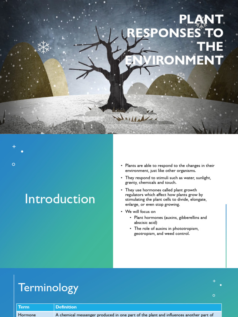 Plant Responses to Environmental Stimuli | PDF | Auxin | Plant Hormone