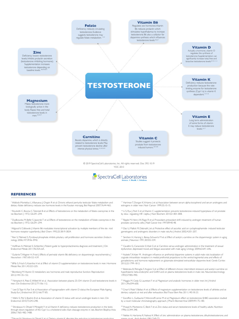 Nutrients Impacting Testosterone Levels | PDF | Testosterone | Androgen