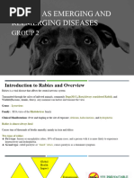 Rabies: Overview and Prevention Guide | PDF | Rabies | Health Care