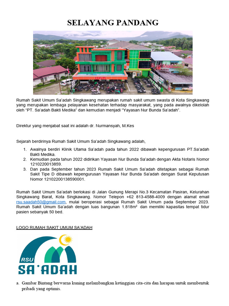 Selayang Pandang | PDF
