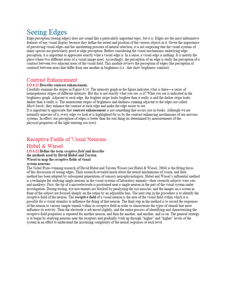 Seeing Edges | PDF | Visual Cortex | Cerebral Cortex