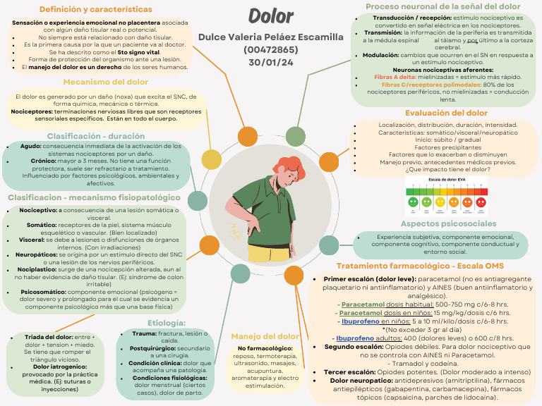Mapa Mental Dolor | PDF | Dolor | Fisiología