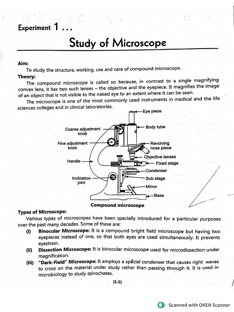 Microscope | PDF