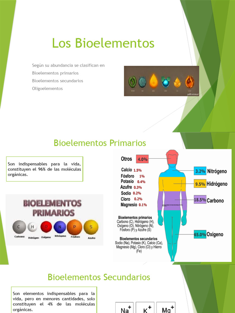 Los Bioelementos | PDF