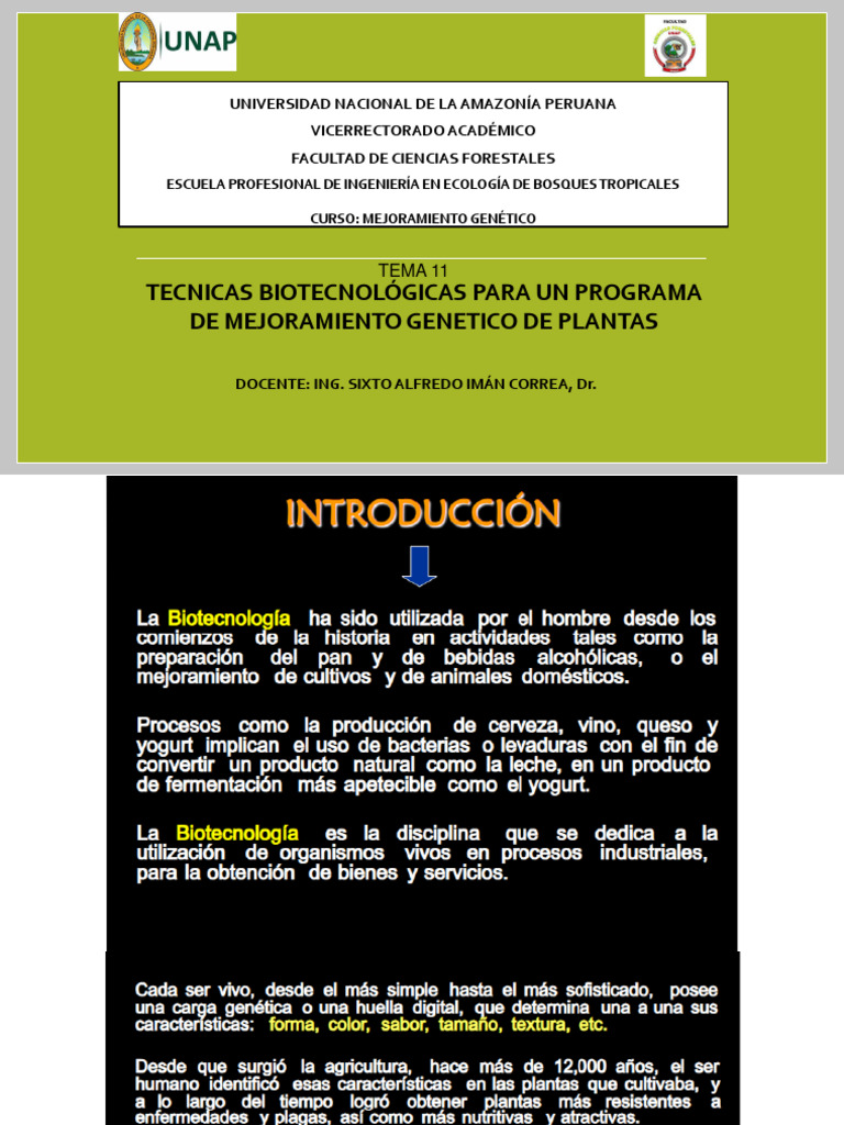 CLASE 11 - G1 - Tecnicas Biotecnologicas para Un Programa de Mejoram ...