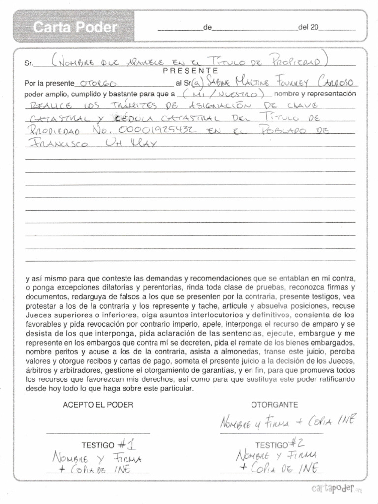 Poder Notarial para Representación Legal | PDF