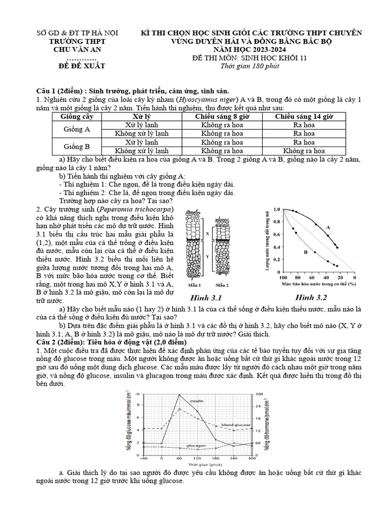 01 de CVA | PDF