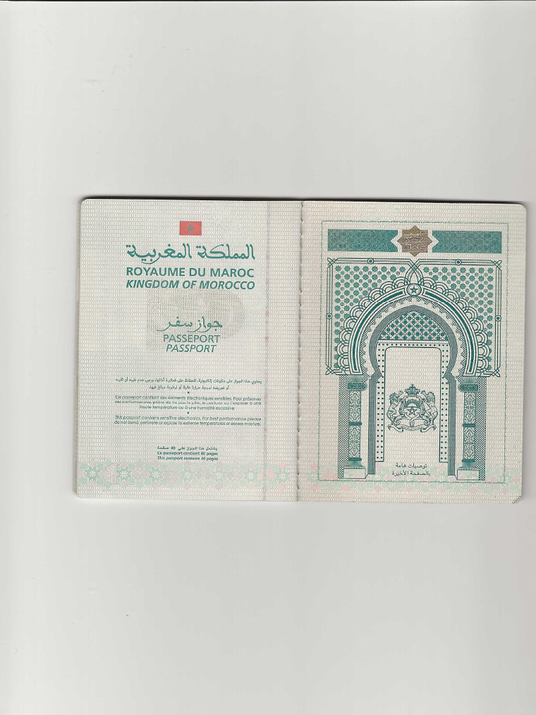 Saidaa Sasaporte | PDF