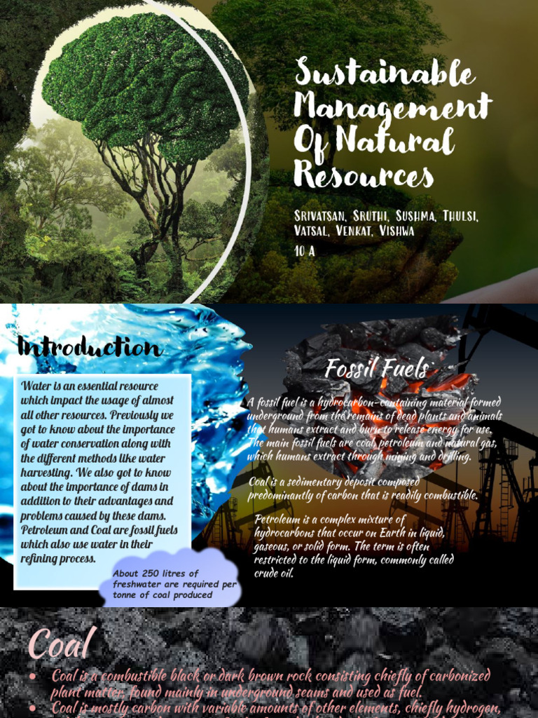 Sustainable Management of Natural Resources | PDF | Coal | Fuels