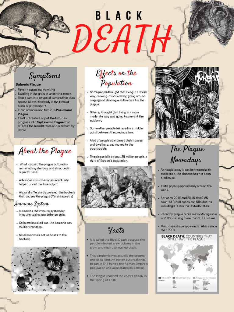 BLack Death Poster | PDF | Microbiology | Epidemiology