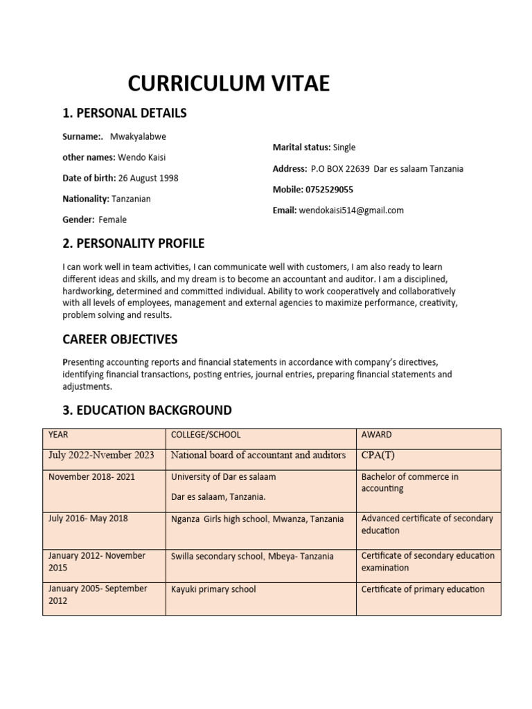Tanzanian Accountant CV and Profile | PDF | Tanzania | Accounting