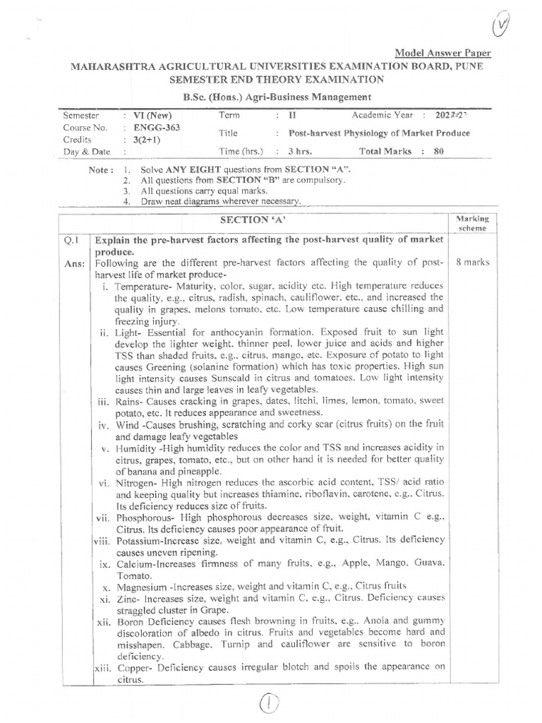 ABM 6 New Model Ans | PDF
