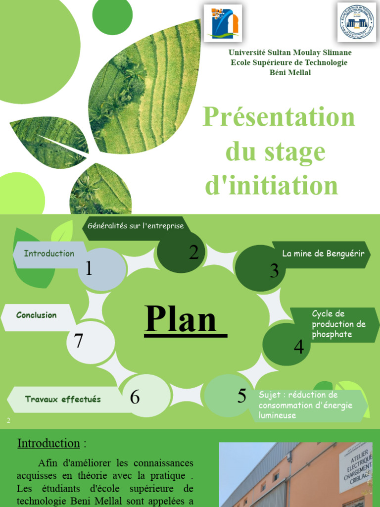 Presentation Du Stage D Initiation | PDF | Phosphate