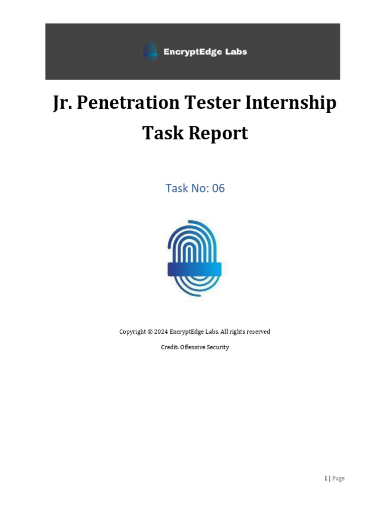 Jr. Penetration Tester Internship Task Report | PDF | Transmission ...