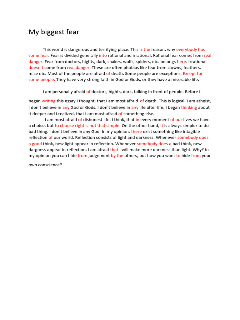 My Biggest Fear | PDF