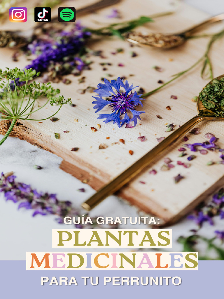 Guia Plantas Medicinales para Tu Perro PDF | PDF | Dieta | Alimentos