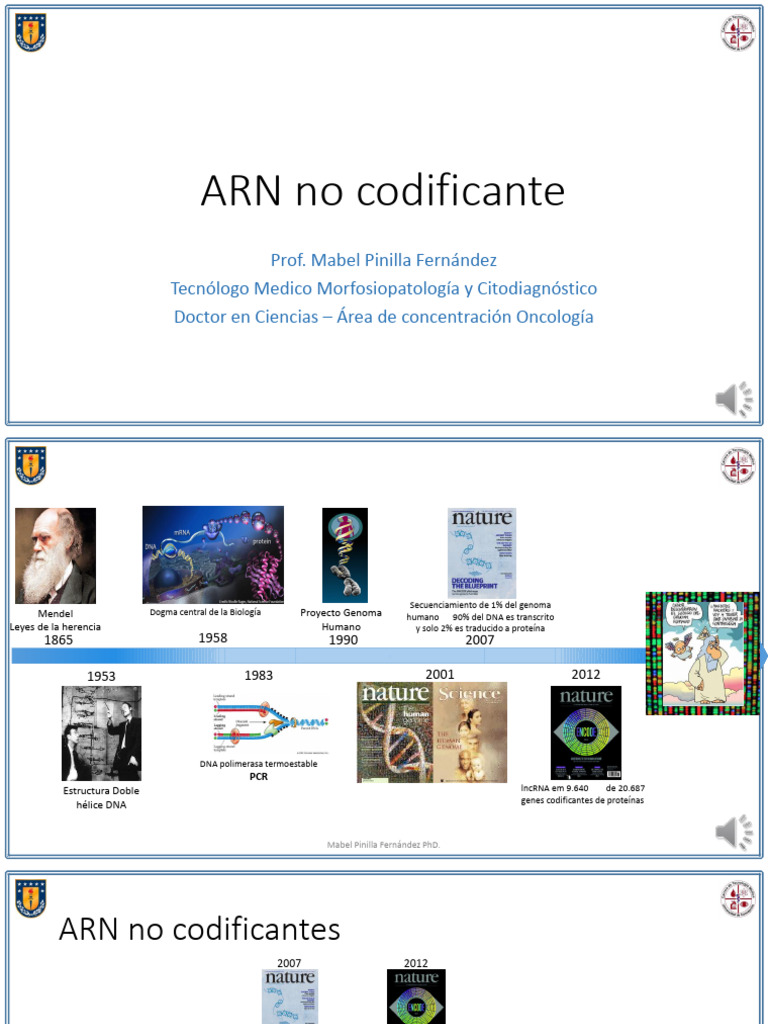 ARN No Codificante y Regulación Génica | PDF | Rna | Adn