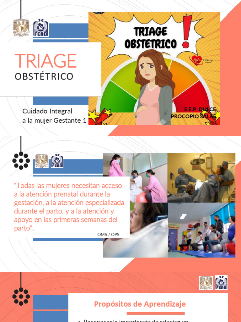 Triage Obstétrico | PDF | Partería | Parto